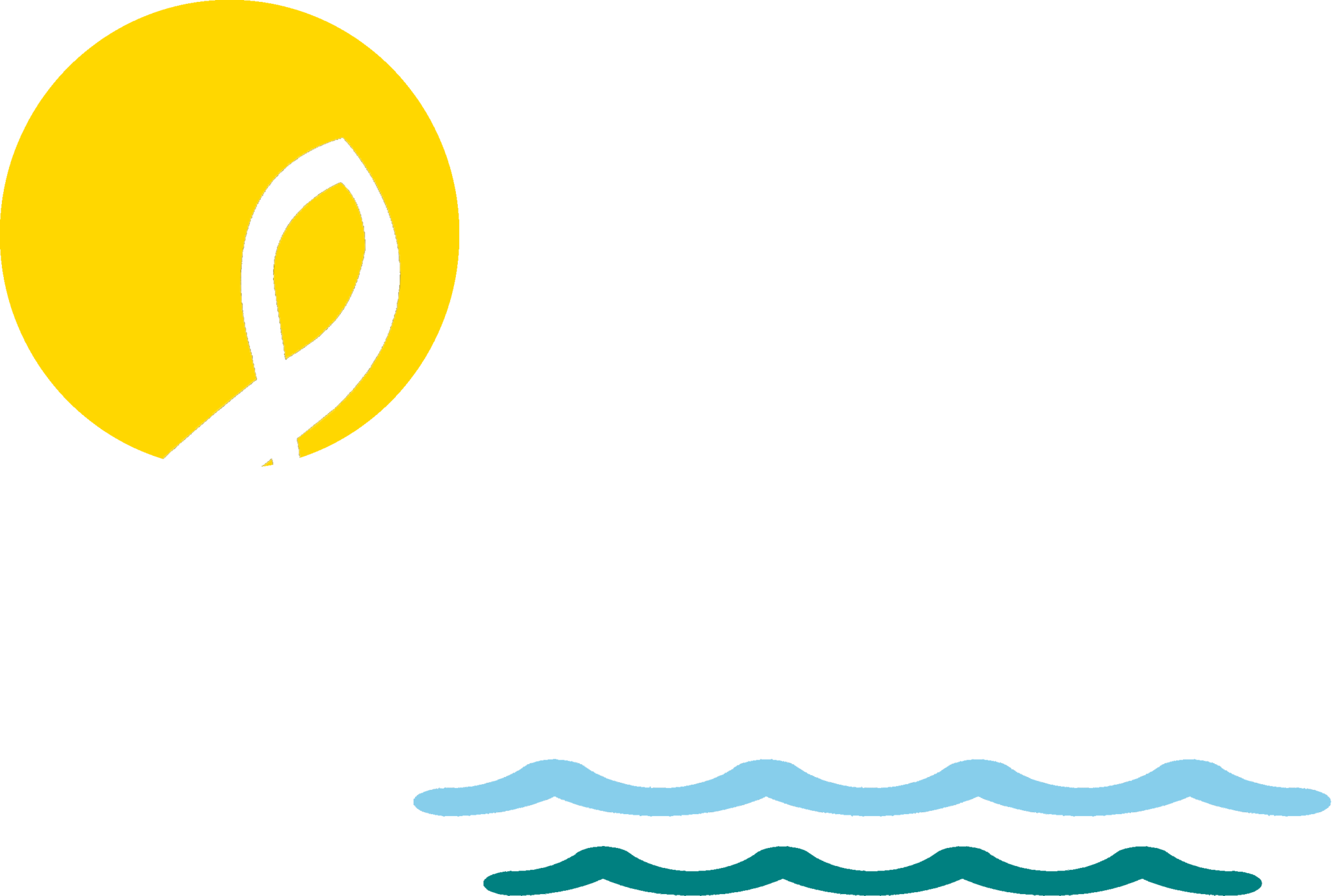 ABOUT US – Lake Norman Orchestra